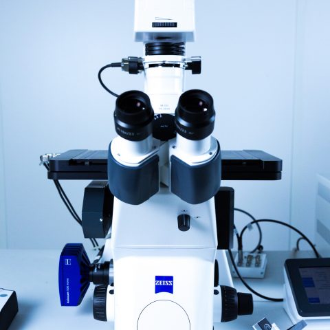 Argo-SIM-v2 - Argolight